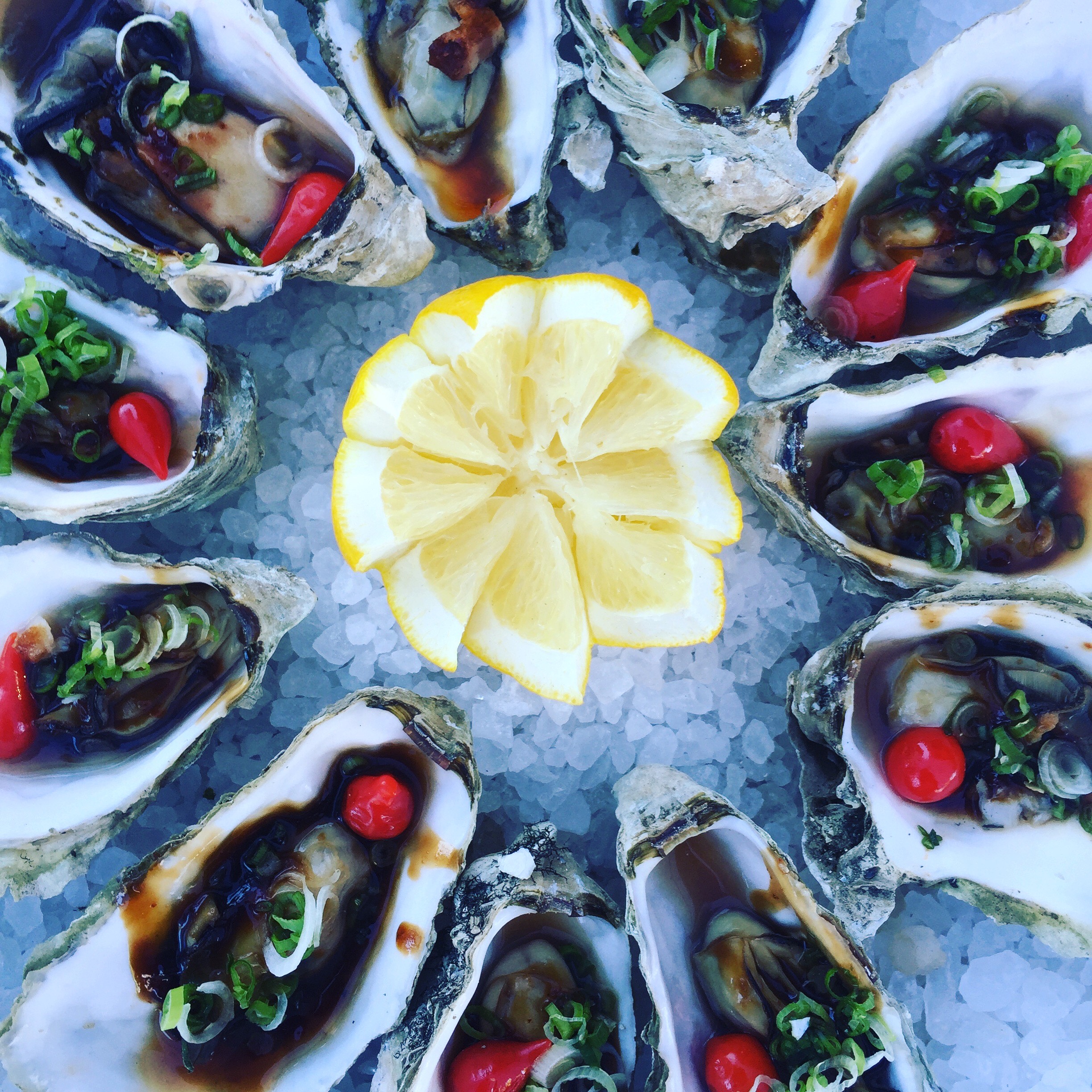 Tanuki's Den - Sushi, Poke, Ramen and More